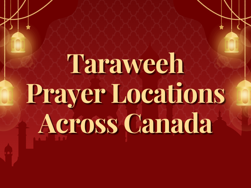 ML Snapshot *Jobs *Taraweeh Prayer Locations *Zakat Webinar
